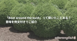 「Beat around the bush」って聞いたことある？意味を例文付きでご紹介